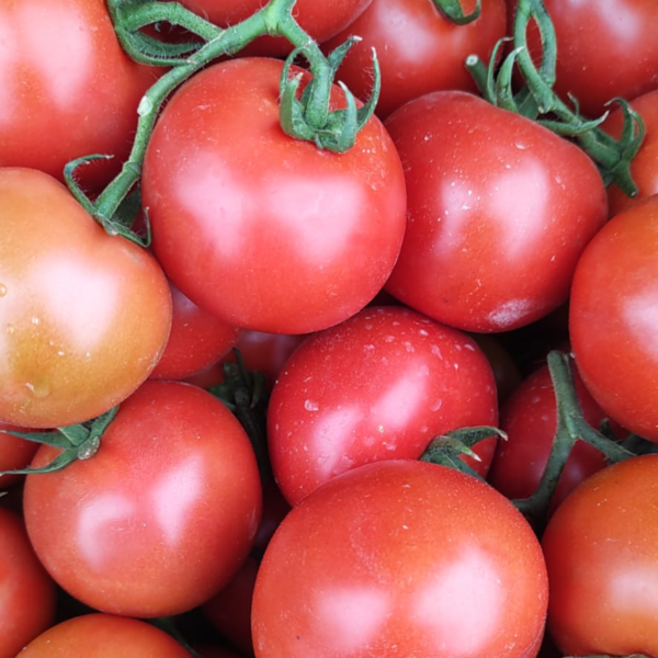 Tomate racimo Kg - Organic Fusion